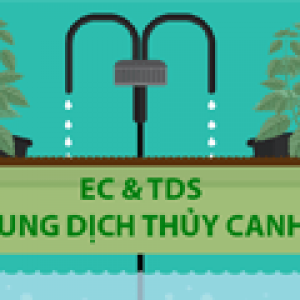 EC là gì? TDS là gì? Ý nghĩa của EC và TDS trong thủy canh